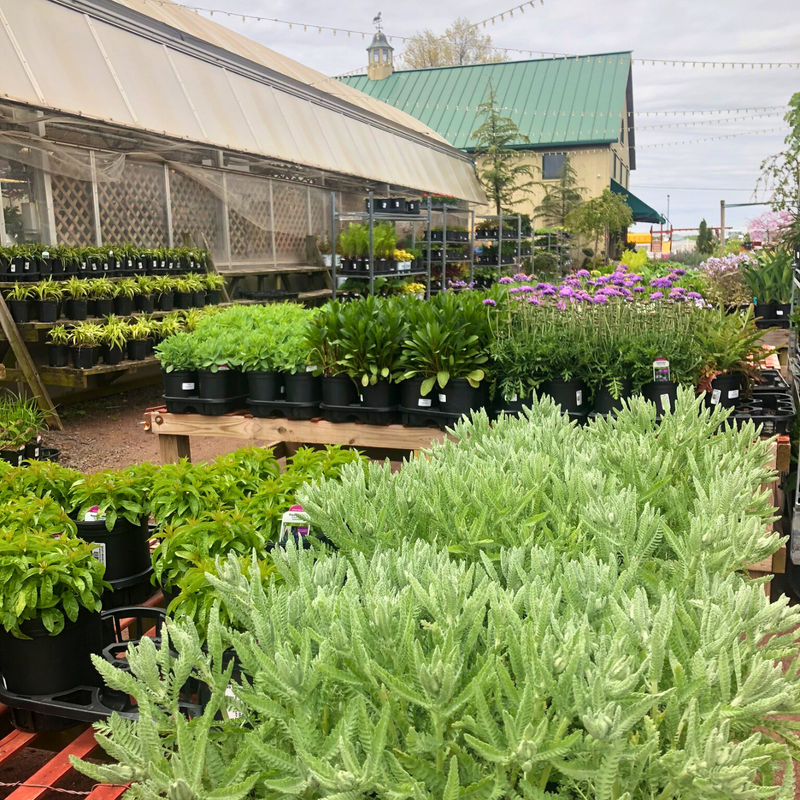 Shady Brook Farm Market, Pub & Garden Center