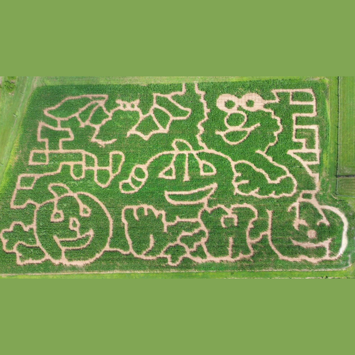 Sesame Street Corn Maze