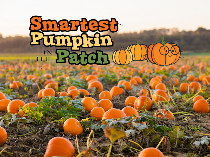 Smartest Pumpkin in the Patch Curriculum